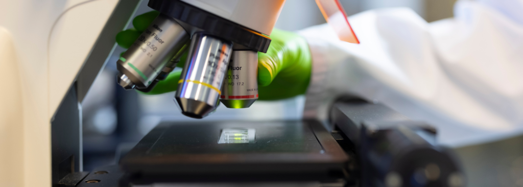 Proefdiervrij gewrichtsonderzoek: “Onze gewricht-op-een-chip is de ...