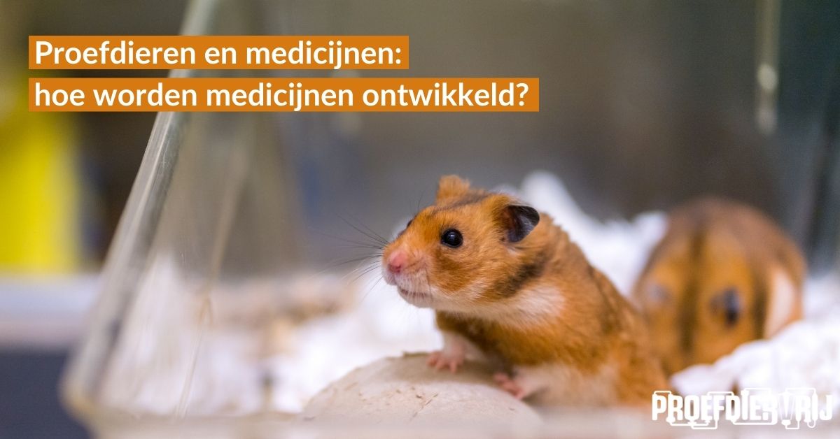 Stappenplan medicijnonderzoek - Proefdiervrij