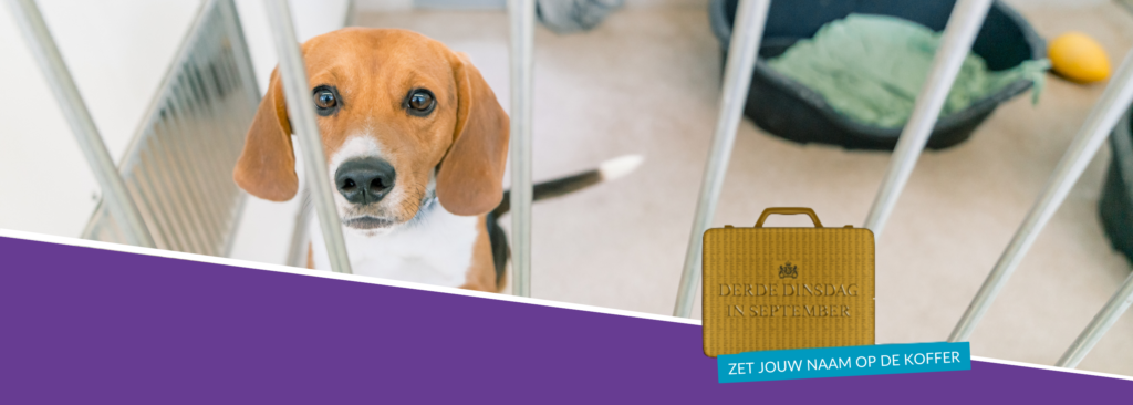 Proefdieren komen er wederom bekaaid af in nieuwe begroting - Proefdiervrij