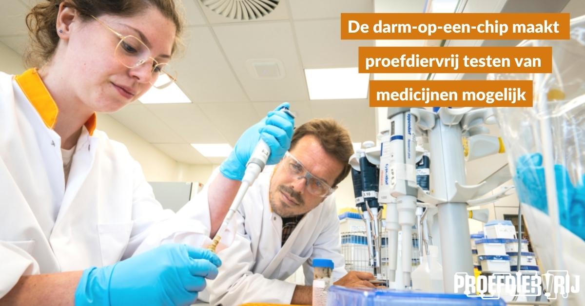 Darm-op-een-chip maakt proefdiervrij testen van medicijnen mogelijk ...
