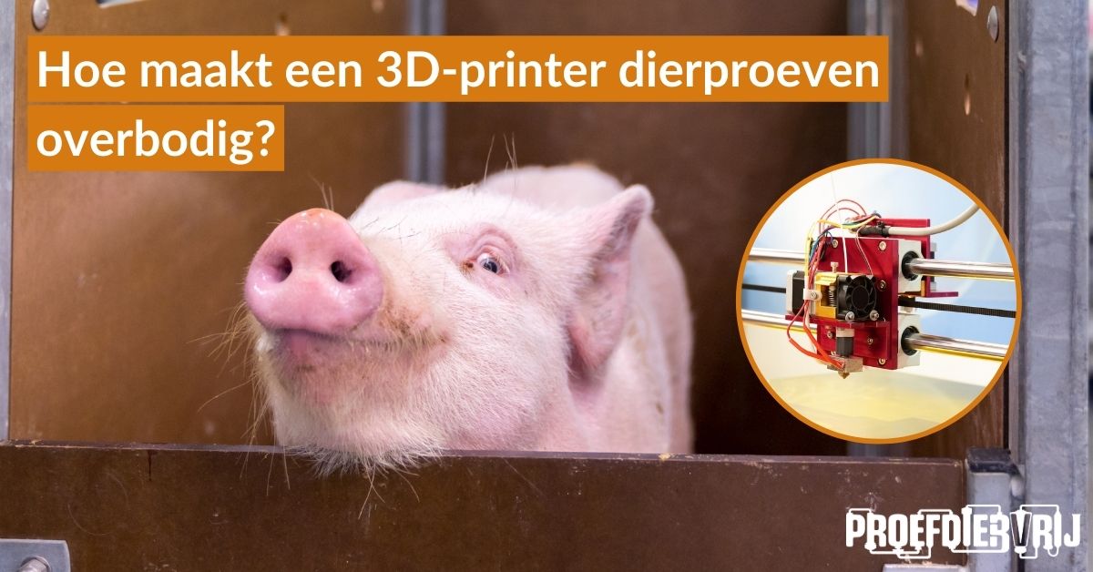 How can 3D-printing replace animal testing? - Proefdiervrij