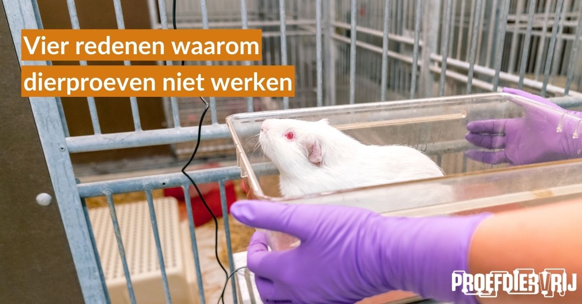 Waarom werken dierproeven niet? - Proefdiervrij