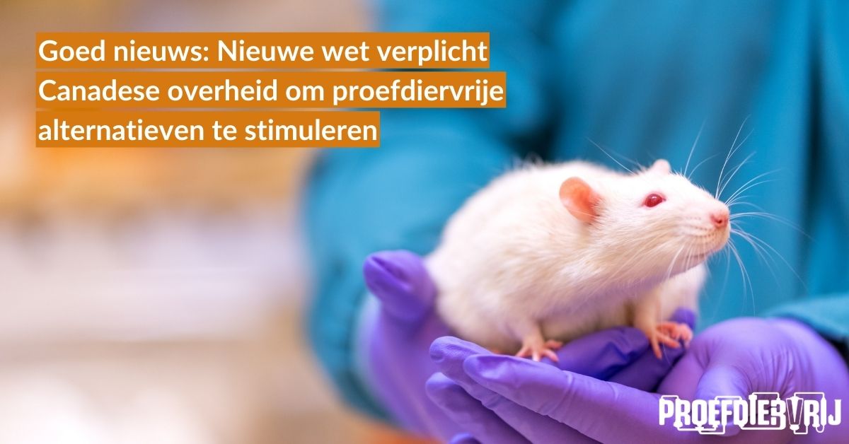 Canada zet een grote stap in het verminderen van dierproeven ...
