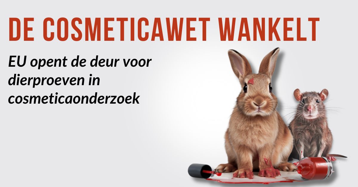 Noodkreet – Europese Hofuitspraak opent deur voor dierproeven in ...