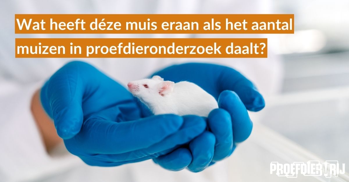 Toename proefdieren pijnlijk, maar het cijfer zélf betekent weinig ...