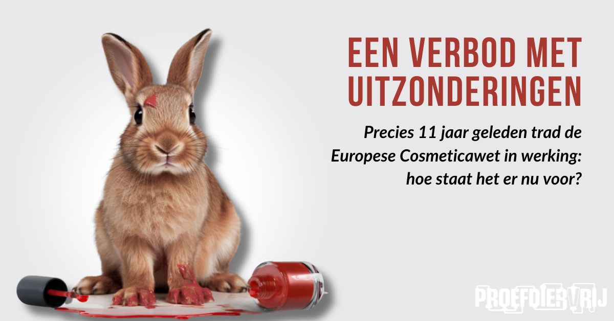 Een mijlpaal voor de proefdieren? Het Europese Cosmeticaverbod bestaat ...