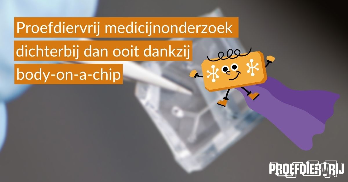 Proefdiervrij medicijnonderzoek dichterbij dan ooit dankzij body-on-a ...